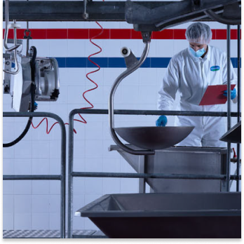 Mitsopoulos Family - Mitsopoulos Family