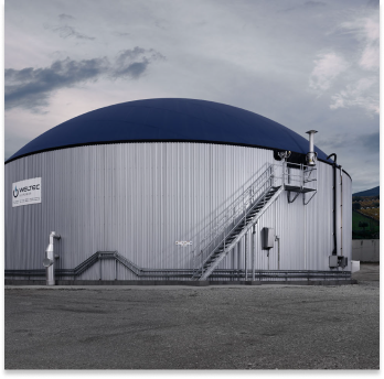 Mitsopoulos Family - Mitsopoulos Family