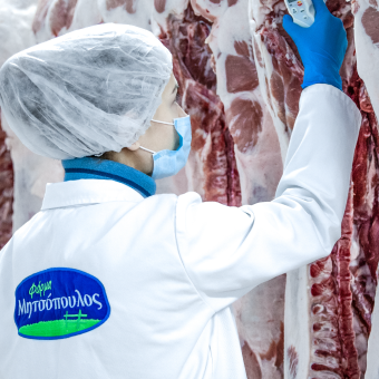 Mitsopoulos Family - Mitsopoulos Family