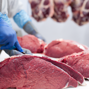 Mitsopoulos Family - Mitsopoulos Family