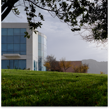 Mitsopoulos Family - Mitsopoulos Family